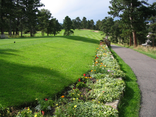 Mile High Turf Grass